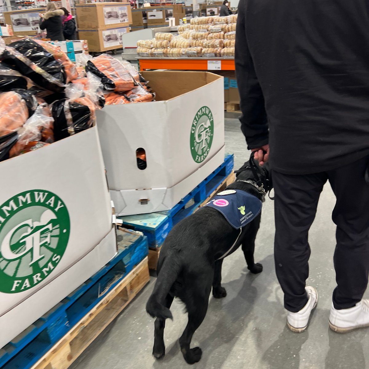 On Site Placement – OSP is a non-profit, charitable organization ...