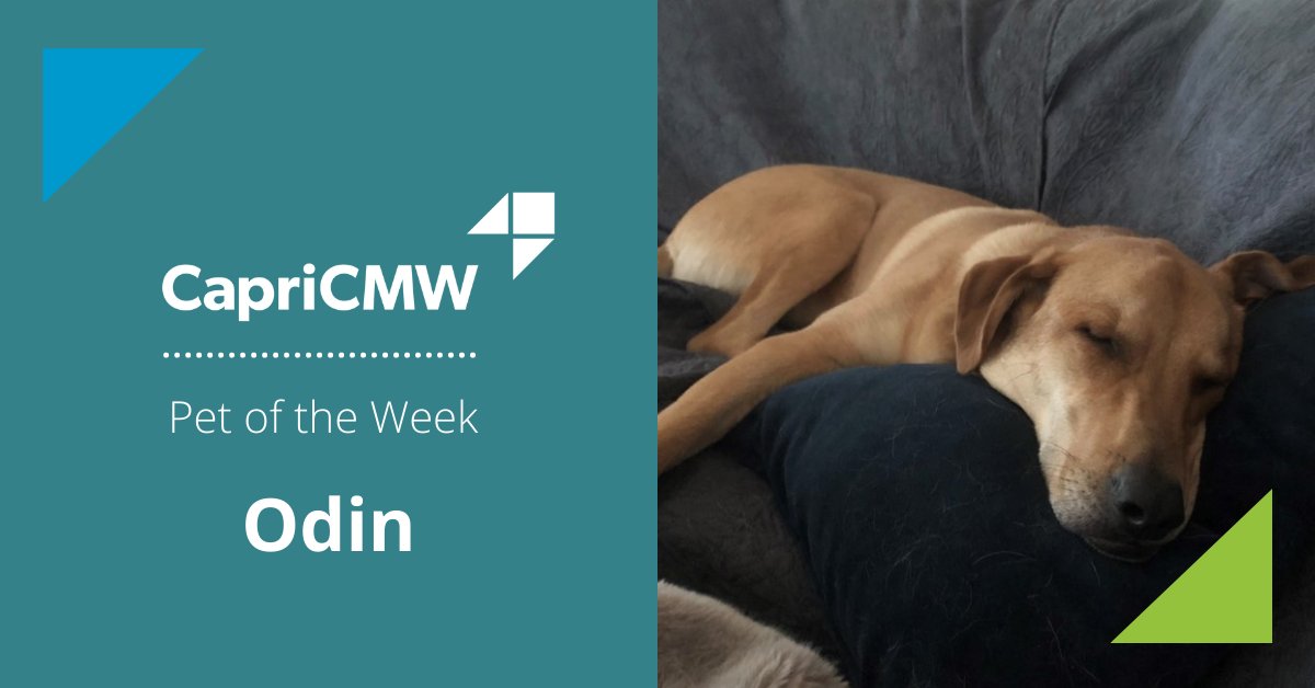 capri insurance vernon bc - StellaPostjourrapide