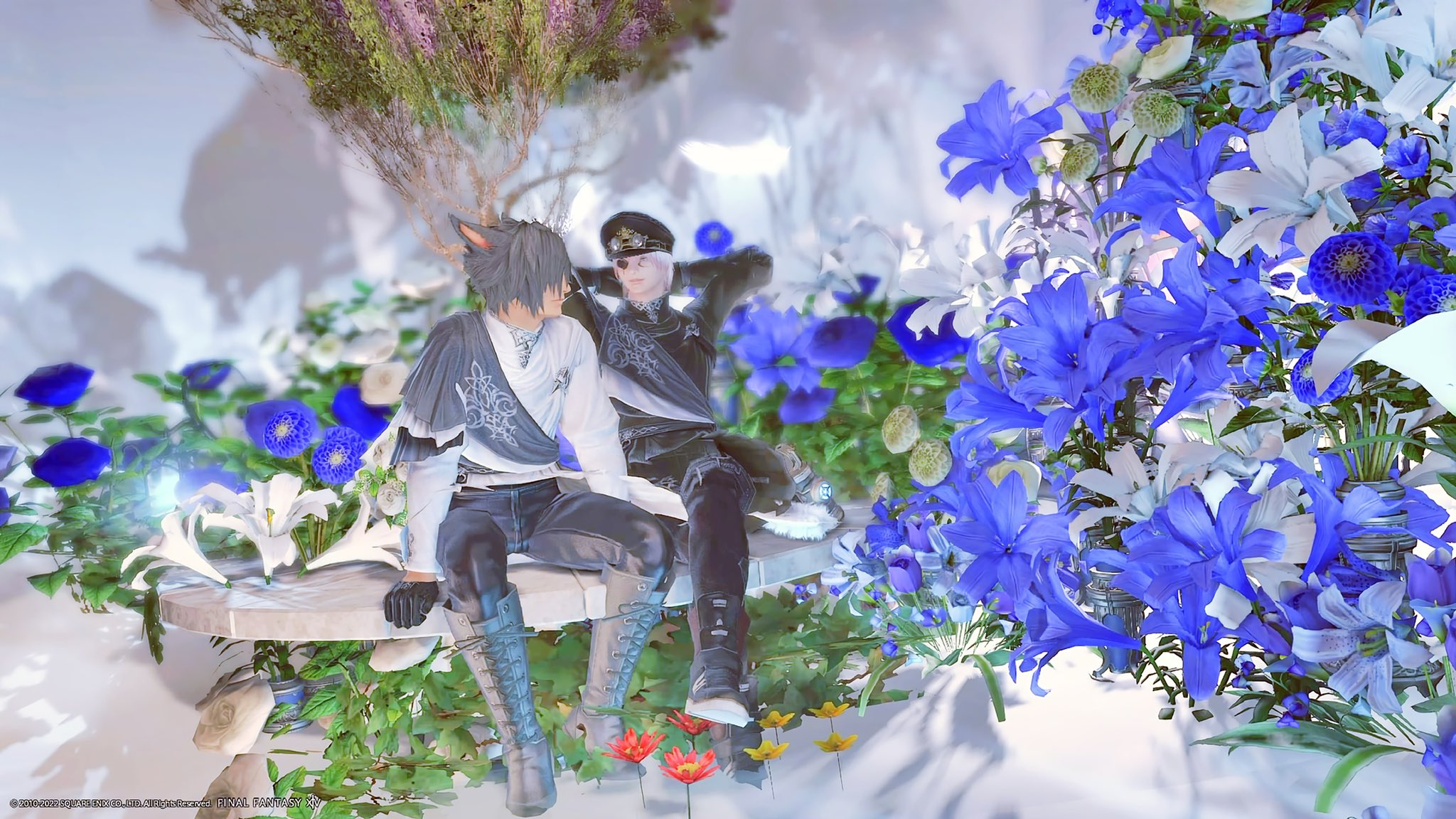 Turugi Ridill on Twitter: "初めてDCトラベルして #Studio_Lueur 様のスタジオで撮影会しに行ってきました！ お花とかもすごく綺麗だったけど、影がまた ...