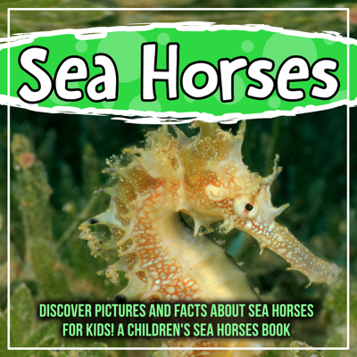 steven dersed on Twitter: "PDF Online Sea Horses: Discover Pictures and ...
