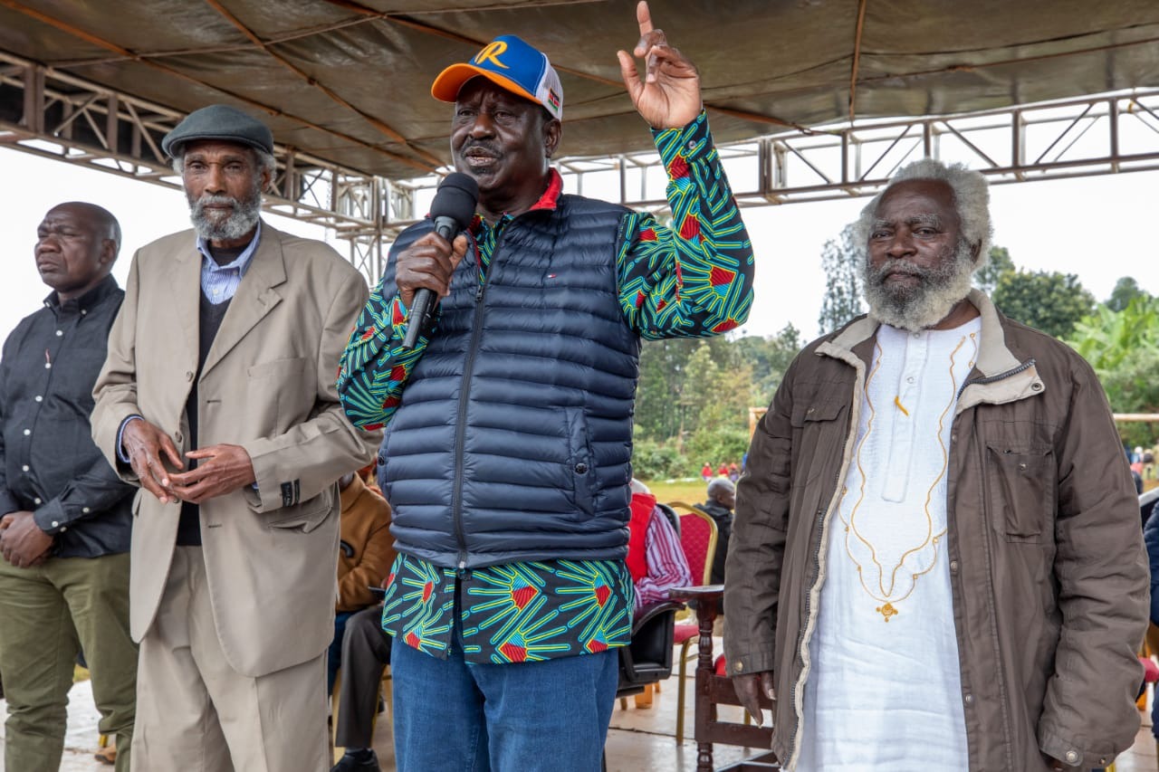 Kenyans.co.ke on Twitter: "Raila Odinga meets Prof. Ngotho wa Kariuki and Prof. Maina Kiongo who ...