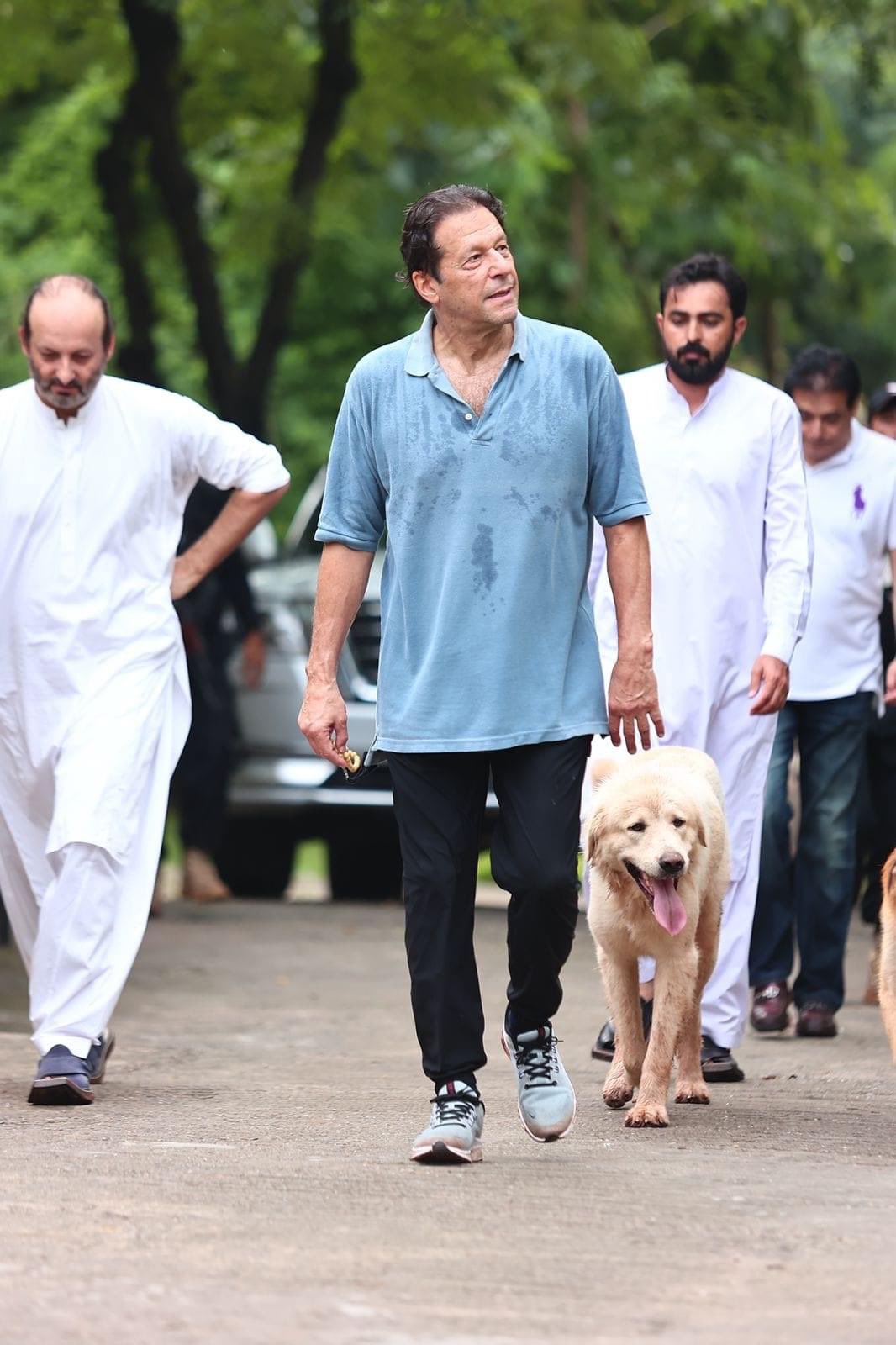 PTI on Twitter: "Chairman PTI @ImranKhanPTI earlier today. https://t.co/gRP8feyaOb" / Twitter