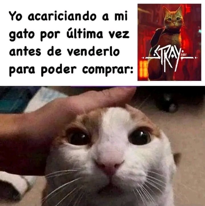 Zer0 (零)- (clossed comms) on Twitter: "No creo subir un dibujo hoy, estoy engripado 😿 https://t ...