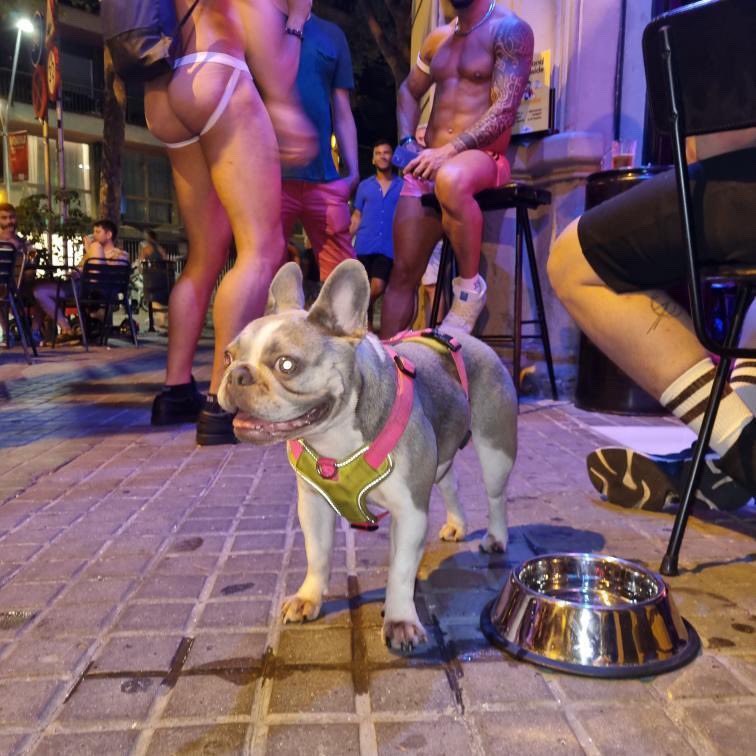 Lionel Lilac 🔞 On Twitter Clubbing~ Someone Took This Cool Pics Of