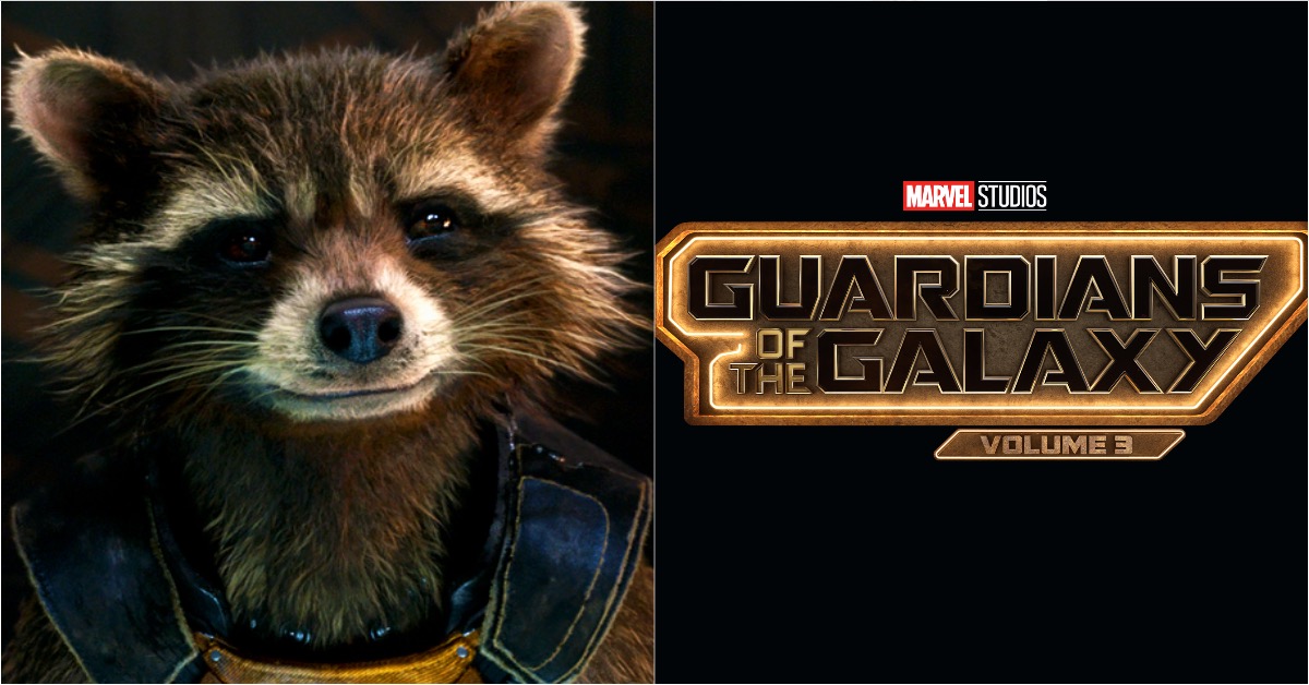 Rocket Raccoon Guardians Of The Galaxy Trailer