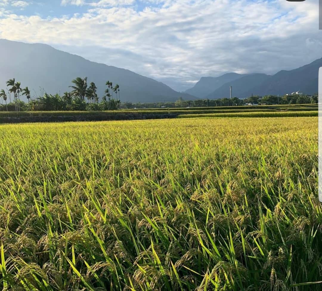 Asami Uno on Twitter: "https://t.co/4ZrkN1LRk0" / Twitter