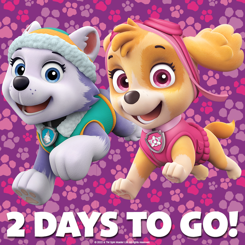 PAW Patrol Live UK on Twitter: "2 days to go 🥳 #pawpatrol # ...