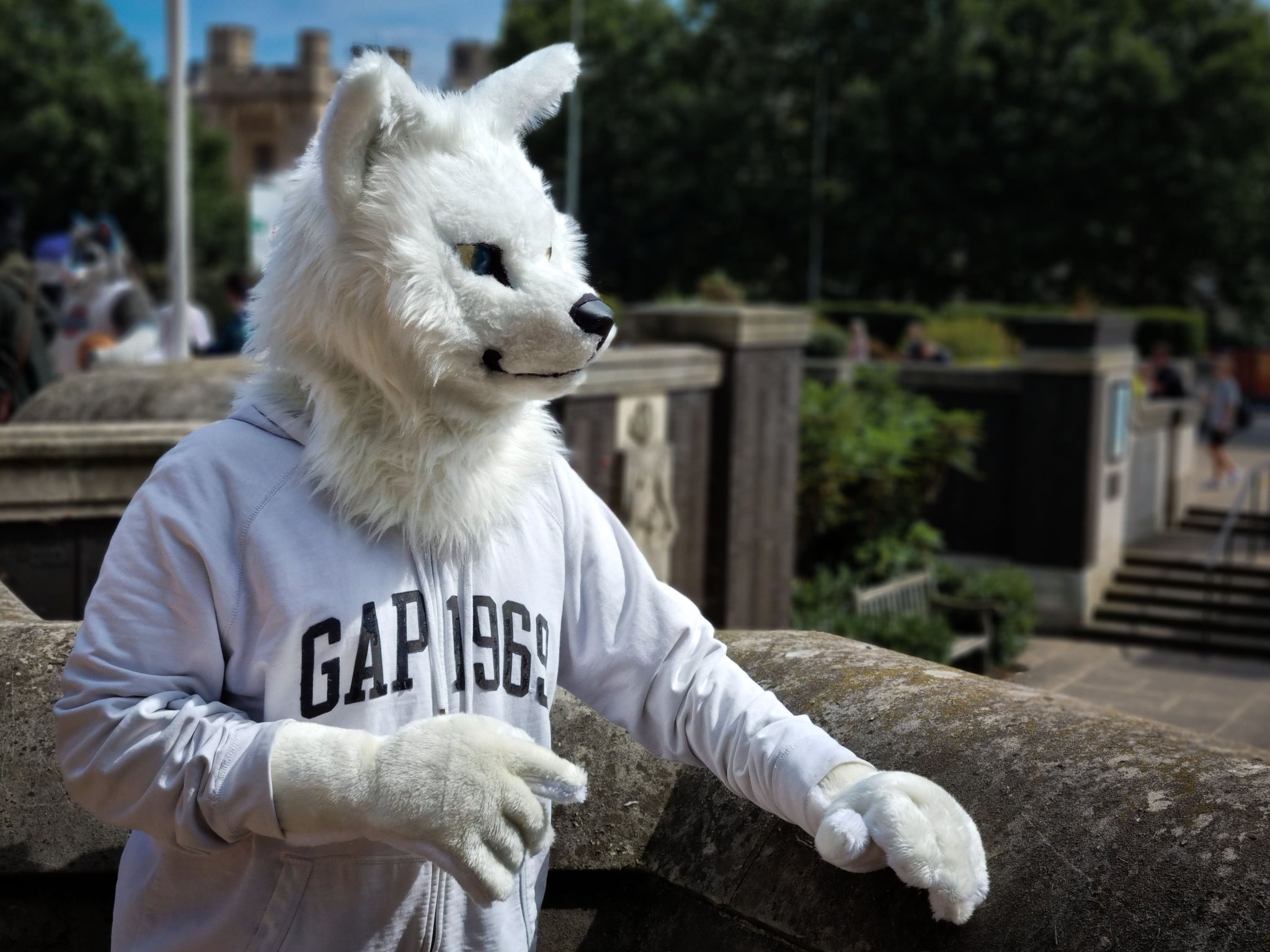 TangMo on Twitter: "Dropping a few more #londonfurs 📷@MinitWolf (graded by me) @Crowwingwolf ...