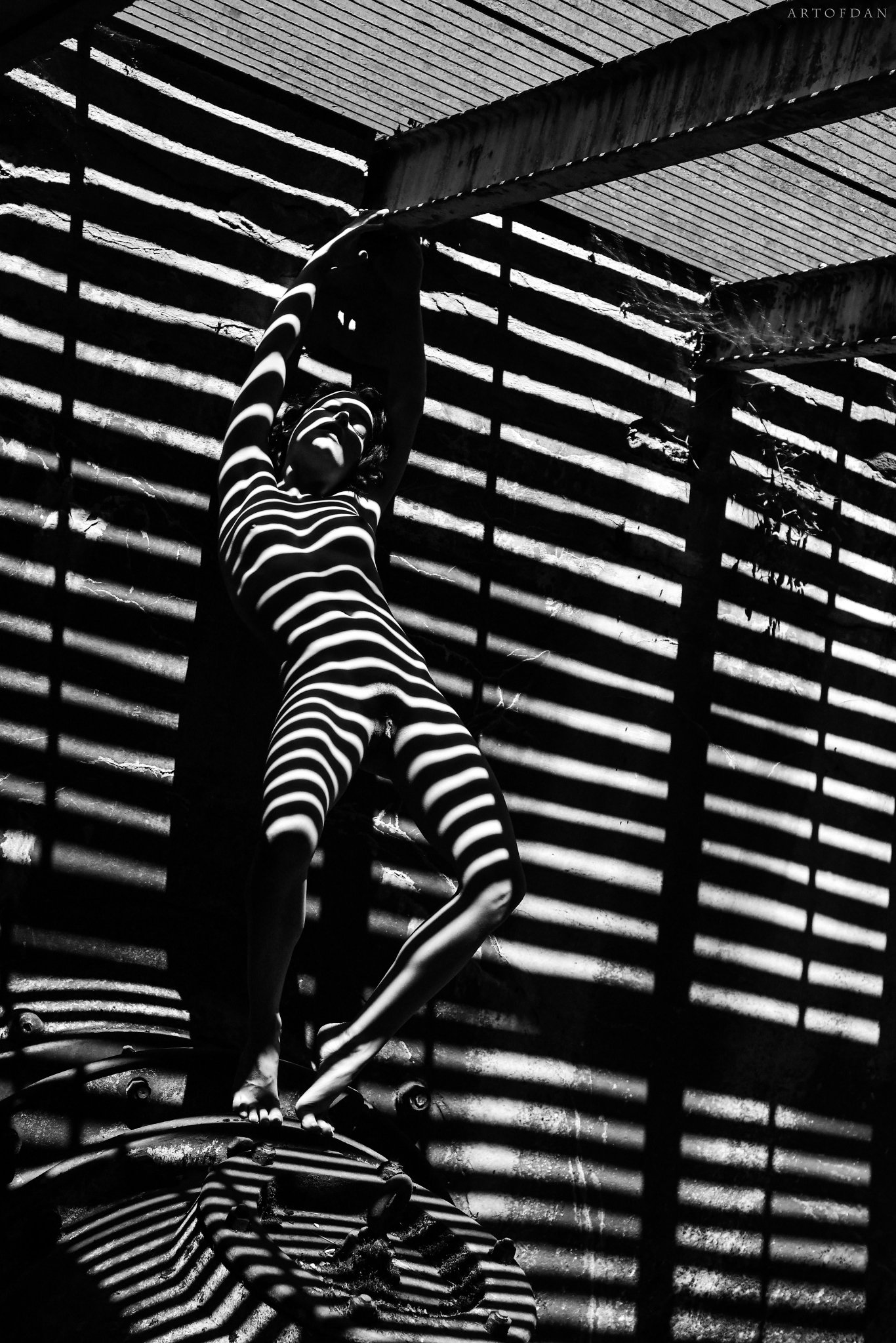 Artofdan Photography on Twitter: ""Dancing stripes" Thank you - Joy Lamore https://t.co ...