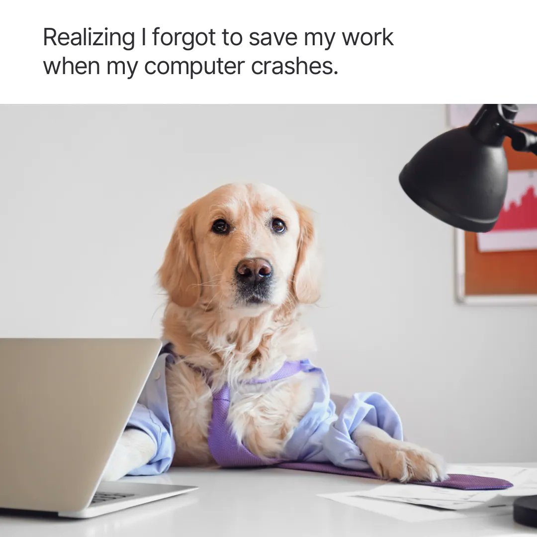 Stressed Dog Meme