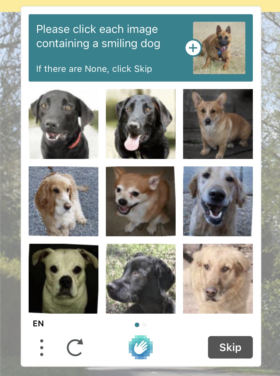 Yiran Tao (@Yiran_Tao_1998) / Twitter