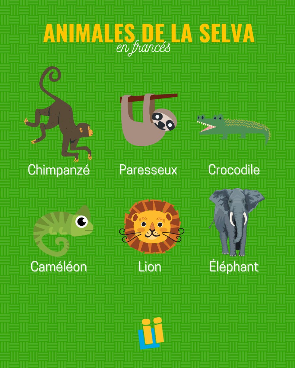 Animales De La Selva Fotos Y Nombres