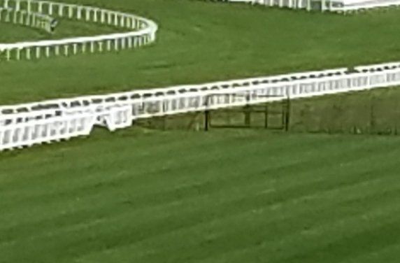 POGO – POGO Turf Pro