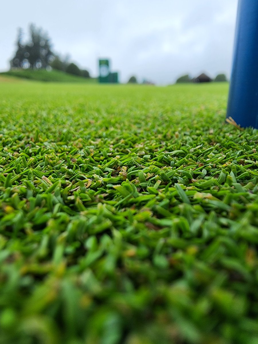 POGO – POGO Turf Pro