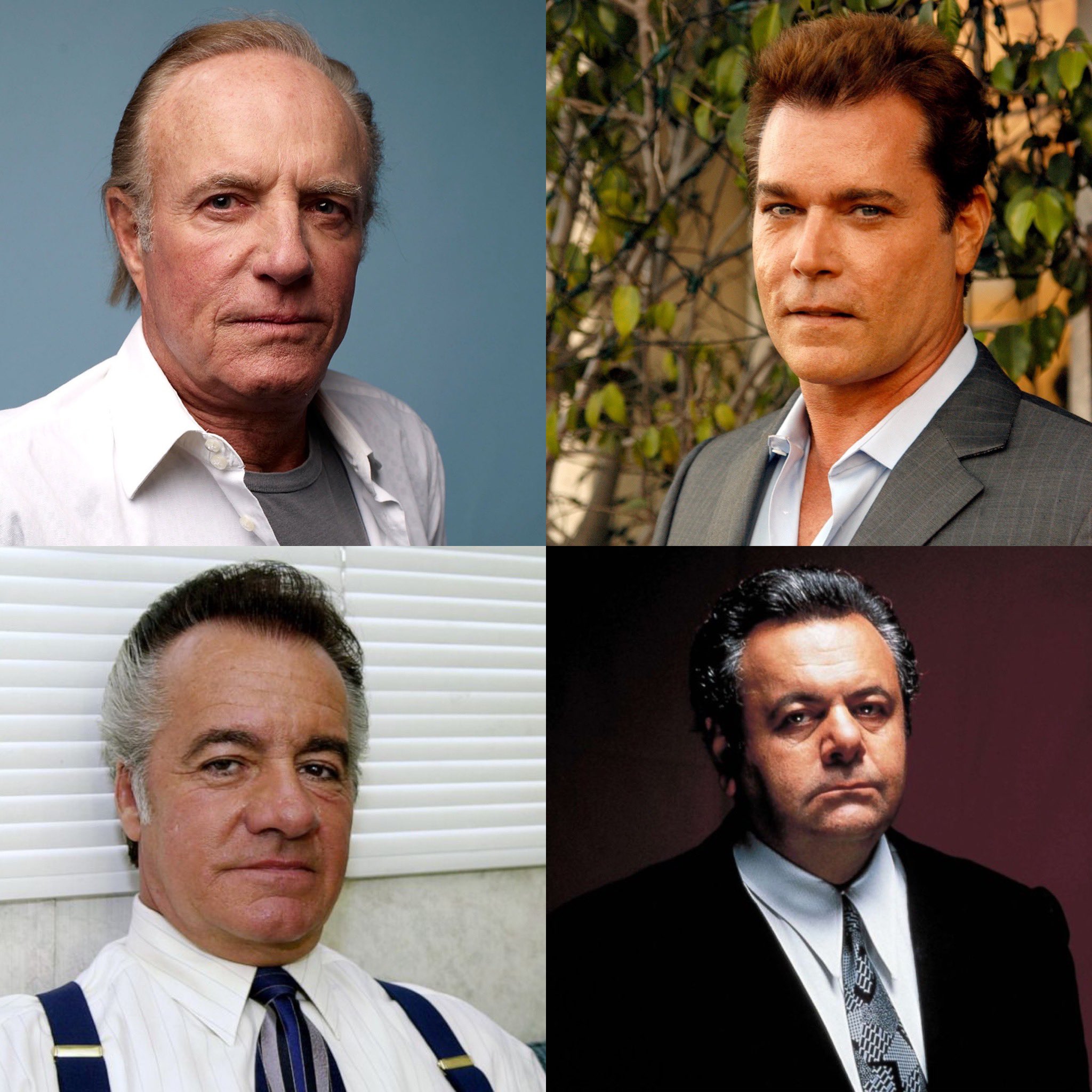 Yashar Ali 🐘 یاشار on Twitter: "James Caan, Ray Liotta, Tony Sirico, and now Paul Sorvino ...