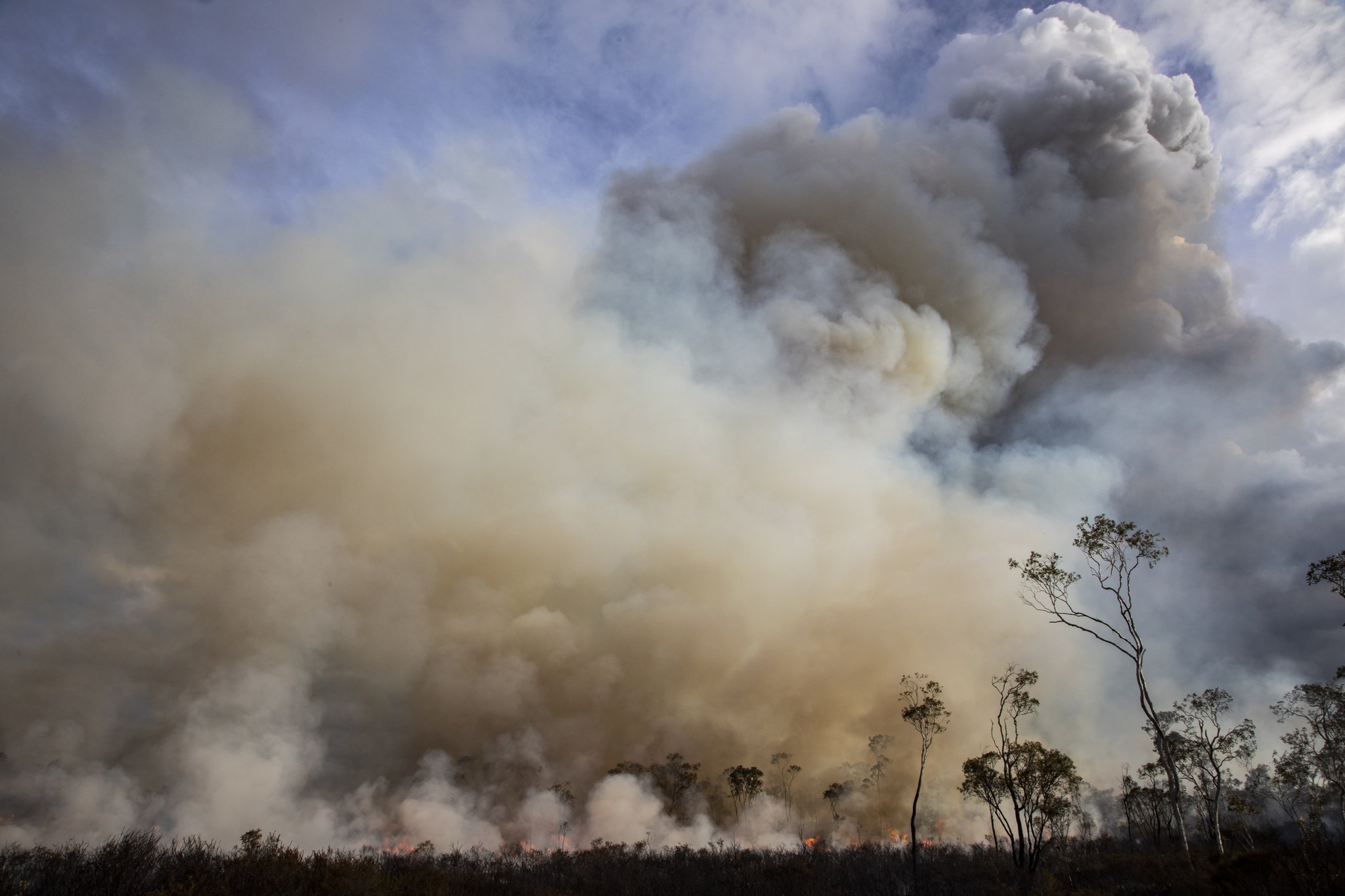 Qld Fire & Emergency on Twitter: Qld Fire & Emergency on Twitter: