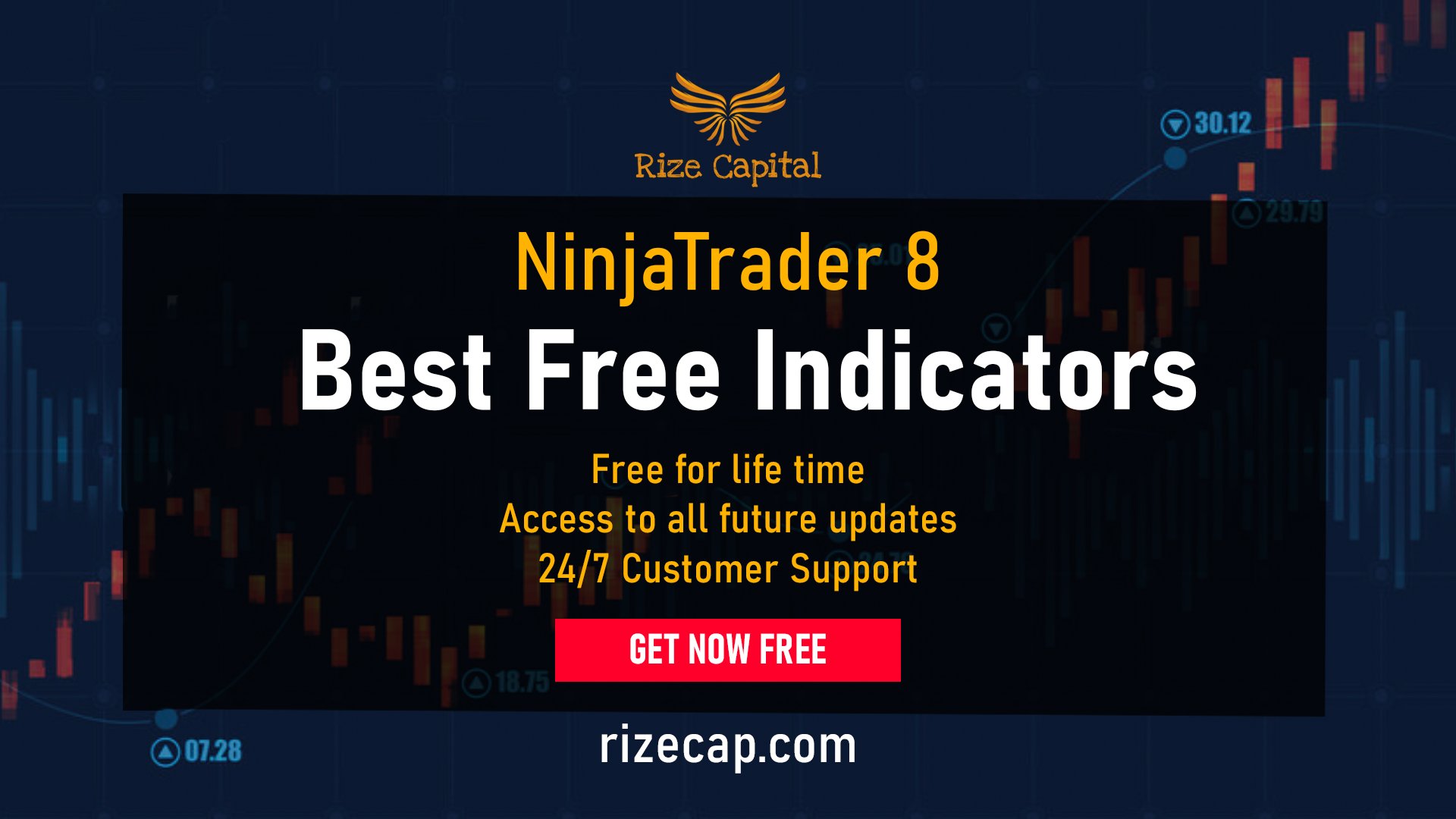 Rize Capital on Twitter: "Do you Trade using NinjaTrader 8 and looking for BEST FREE Trading ...