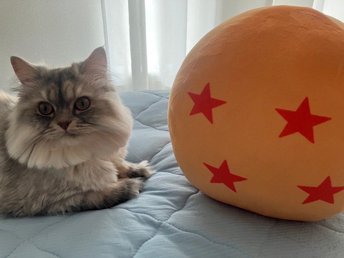 Yusuke MASUDA(@arekoreiroha) - Twilog (ツイログ)