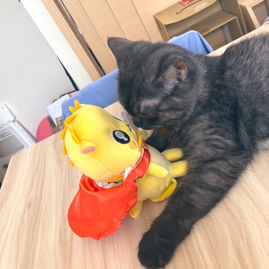 Yusuke MASUDA(@arekoreiroha) - Twilog (ツイログ)