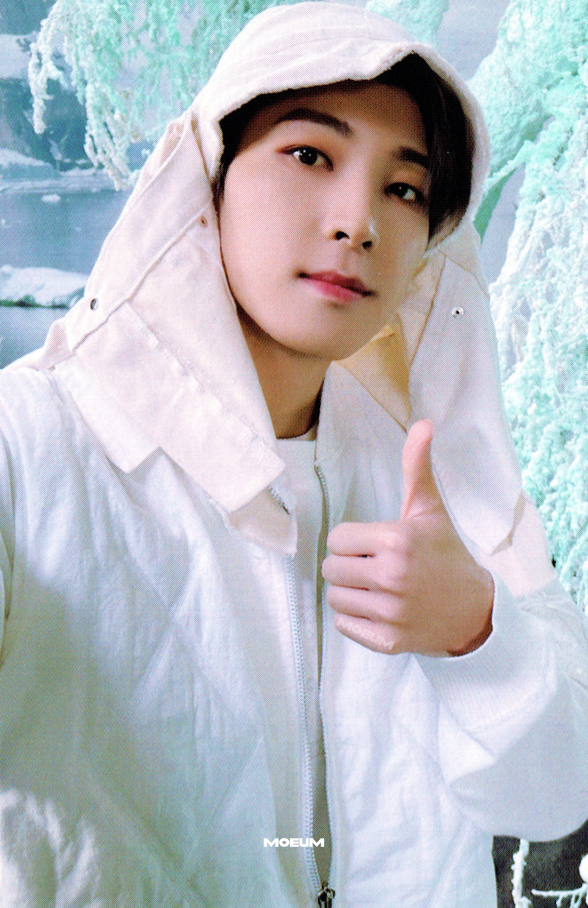 moeum on Twitter: "[SCAN] SECTOR 17 위버스 버전 #원우 #세븐틴 https://t.co/DPgAjVGJYW" / Twitter