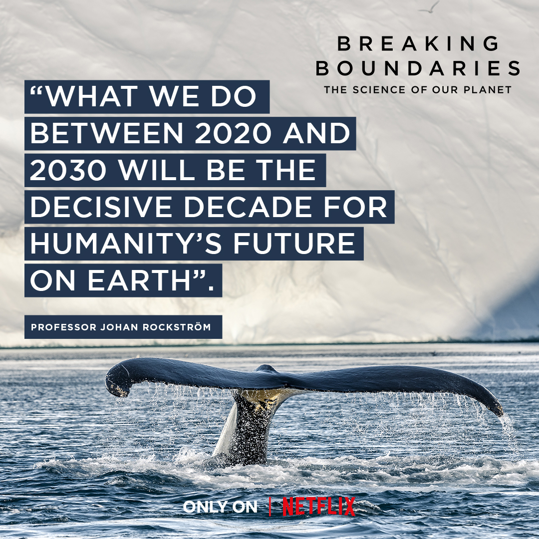 Egypt, Cairo - Sweden Abroad