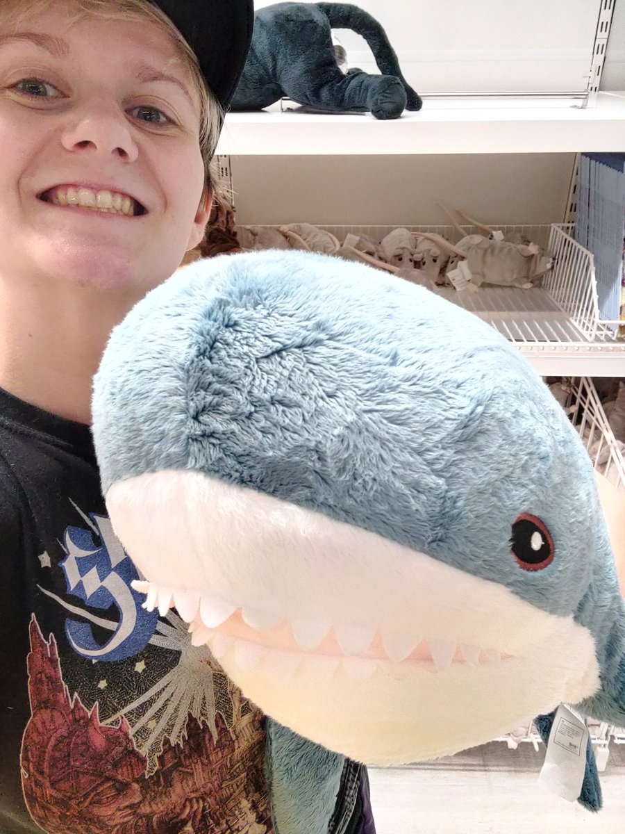 Outstar on Twitter: "blåhaj OBTAINED"