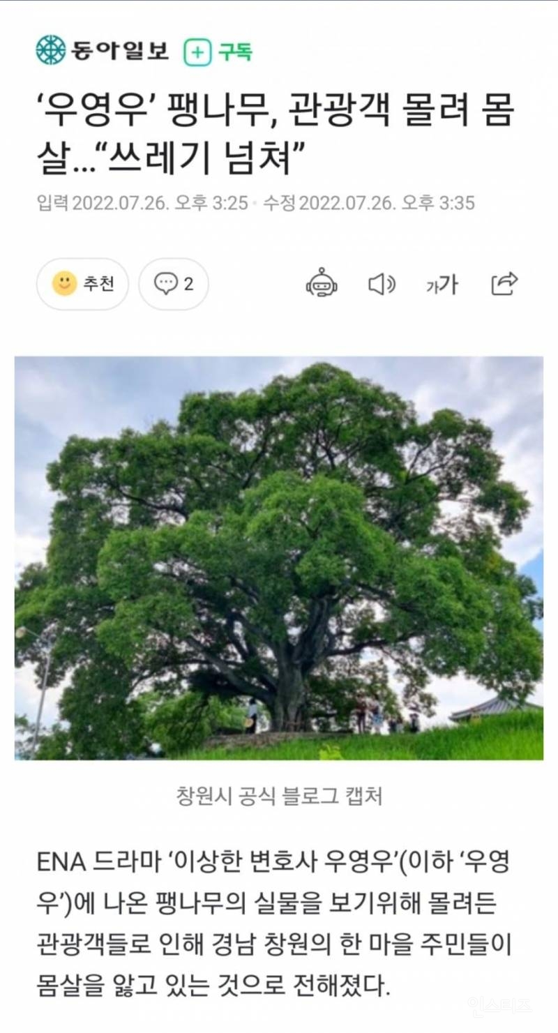 인스티즈(instiz) on Twitter: "우영우 팽나무 안타까운 근황.jpg https://t.co/L2ukh8KNgn https://t.co/612vPtHEUi ...