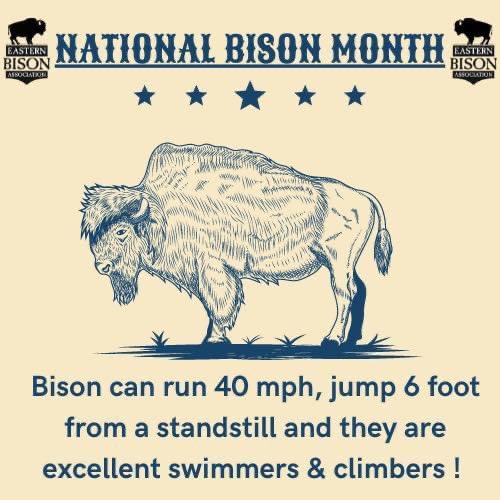 I would rather look forward to National Bikini Day - The Lounge Forum ...