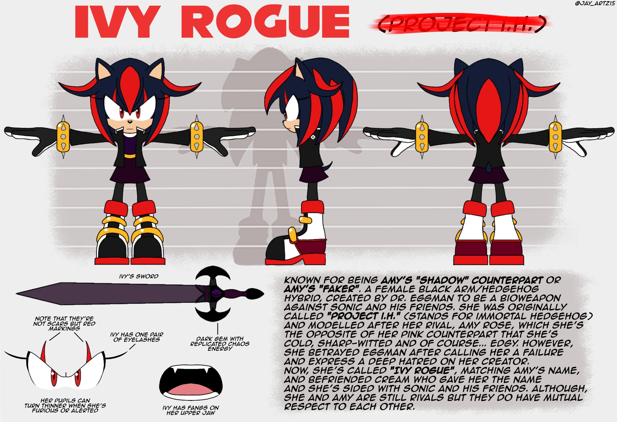 Shadow The Hedgehog With A Sword