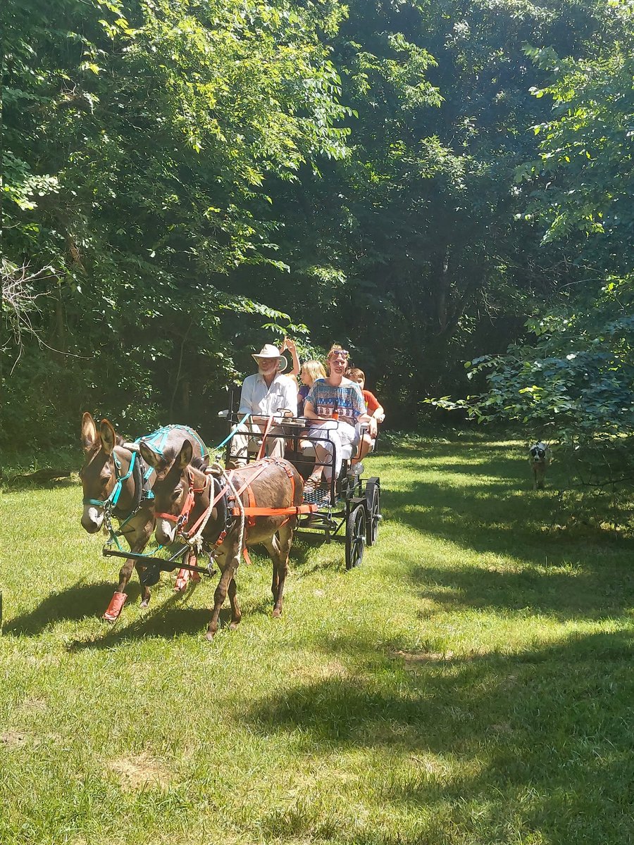 Thread by @JeffAndDonkeys on Thread Reader App – Thread Reader App