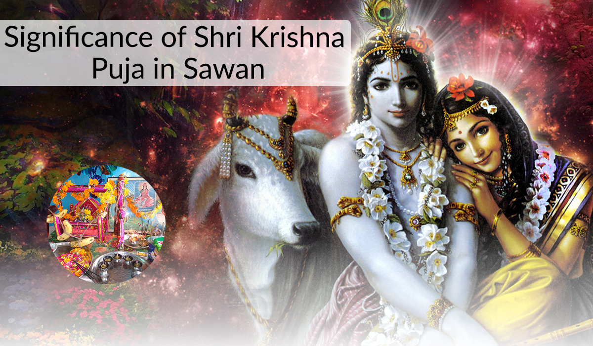 Krishna Hindu God Facts