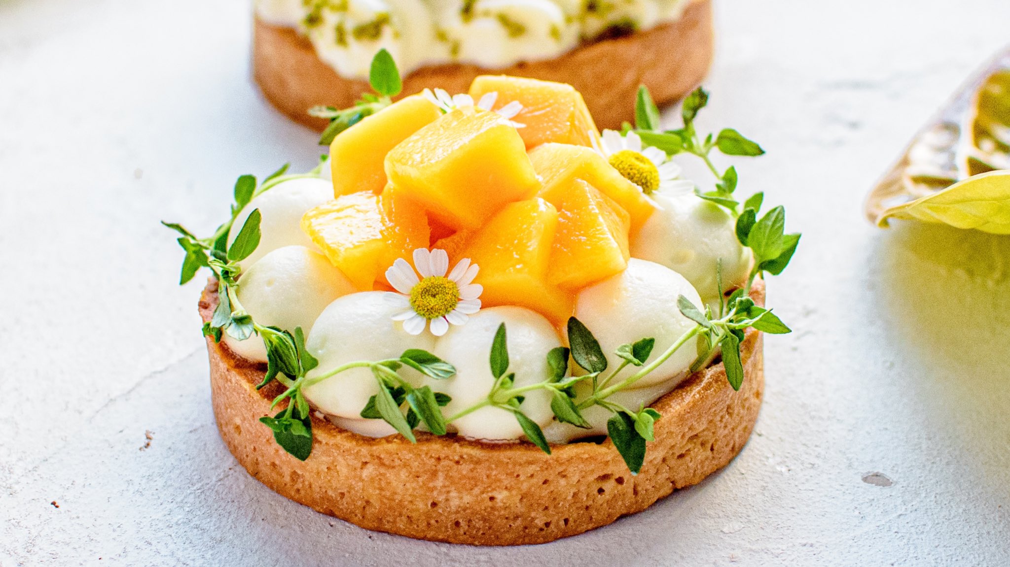 ai_mogmog / Ai Horikawa (@ai_mogmog) / Twitter