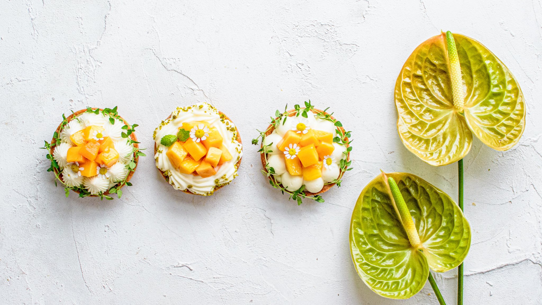 ai_mogmog / Ai Horikawa (@ai_mogmog) / Twitter