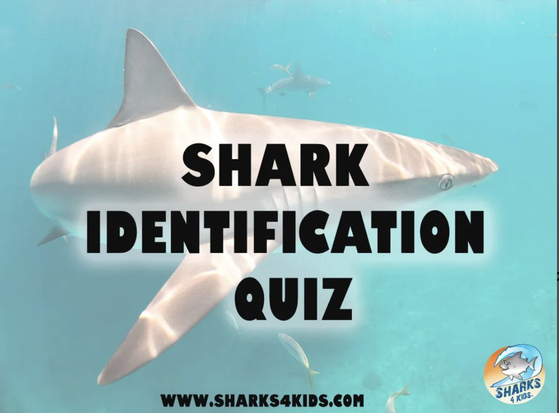 Shark Education on Twitter: "Test your #shark knowledge with our ...