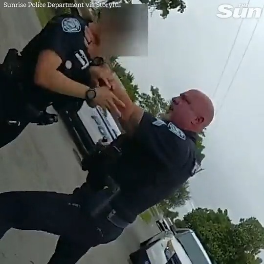 The Sun on Twitter: "Police sergeant who grabbed fellow officer by the throat charged with assault"