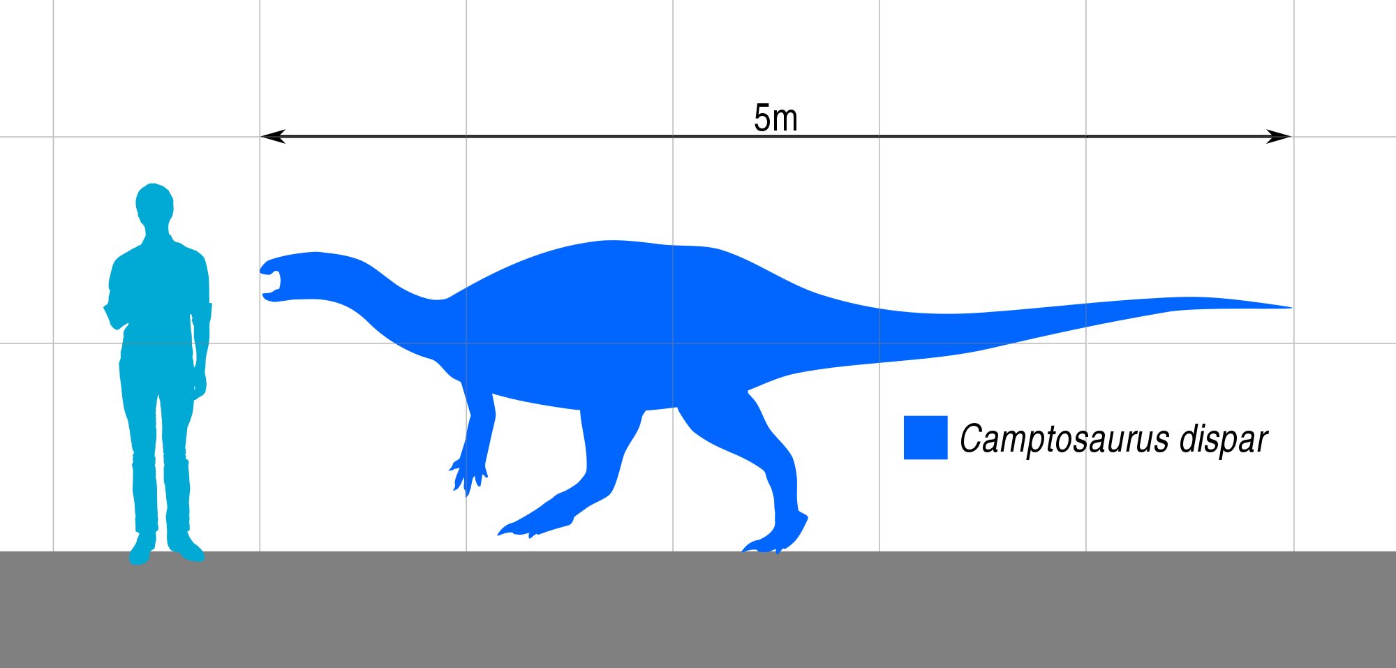 Daily Dino Facts on Twitter: Daily Dino Facts on Twitter: