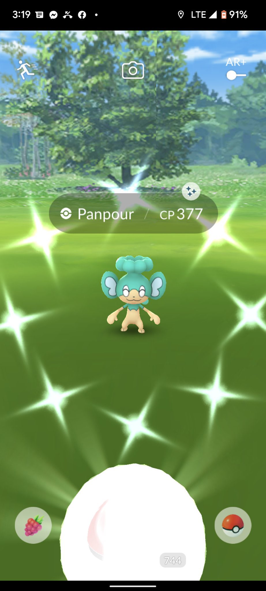 Shiny Panpour