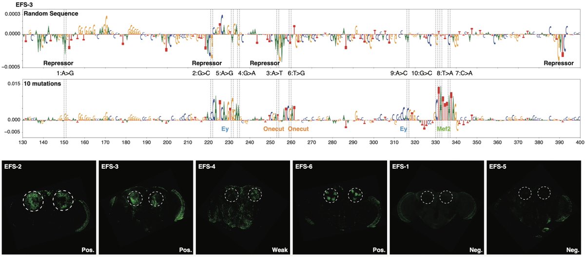 Ibrahim I. Taskiran's Threads – Thread Reader App