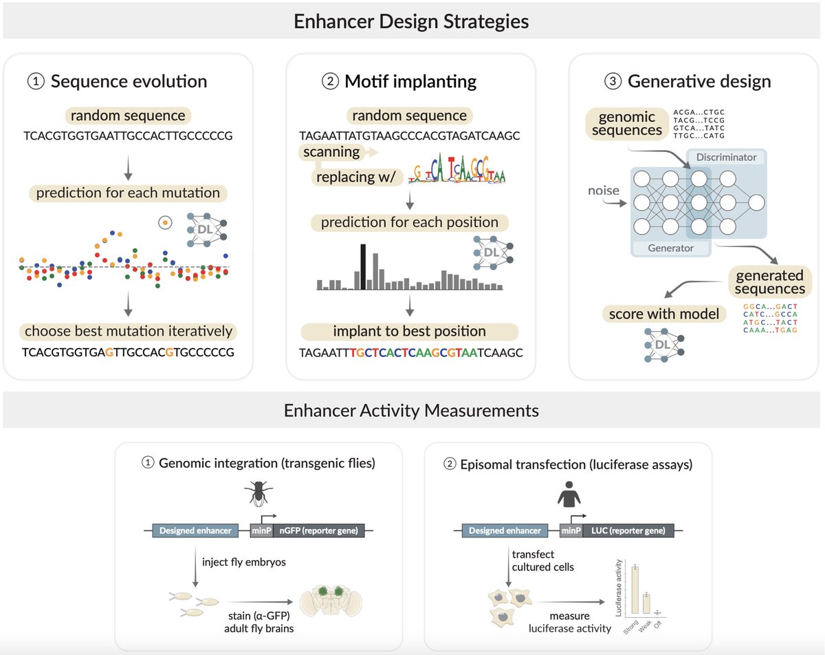 Ibrahim I. Taskiran's Threads – Thread Reader App