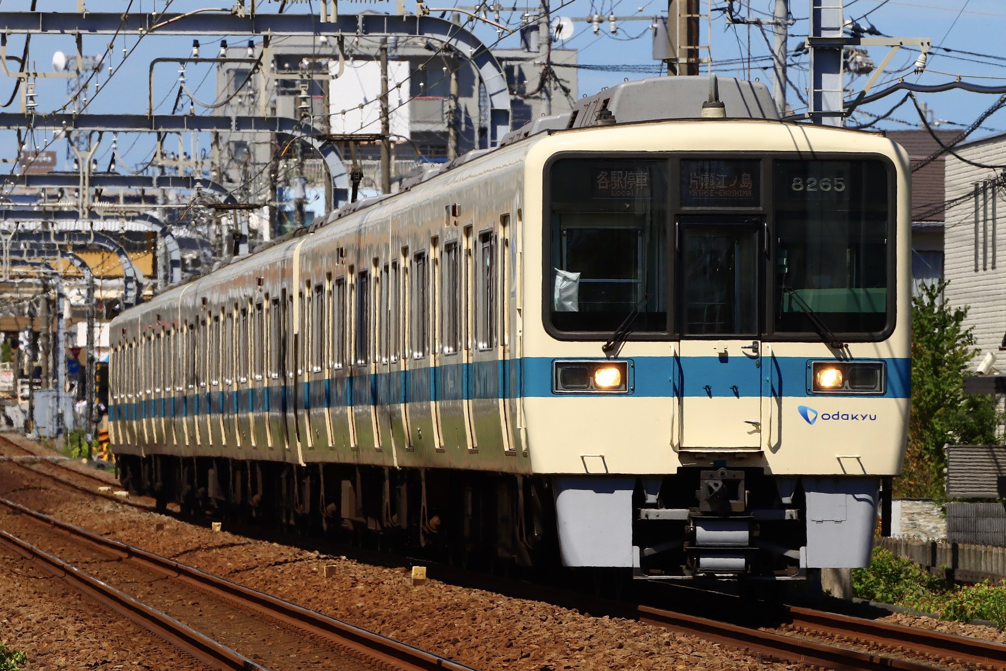 ワタシダ【Odapediaの中の人】 on Twitter: "毎回並んでくれるわけでもないので、並ぶまで根気強く暑い中待つことになります。 普通の写真もこのように勝手に量産されていく ...