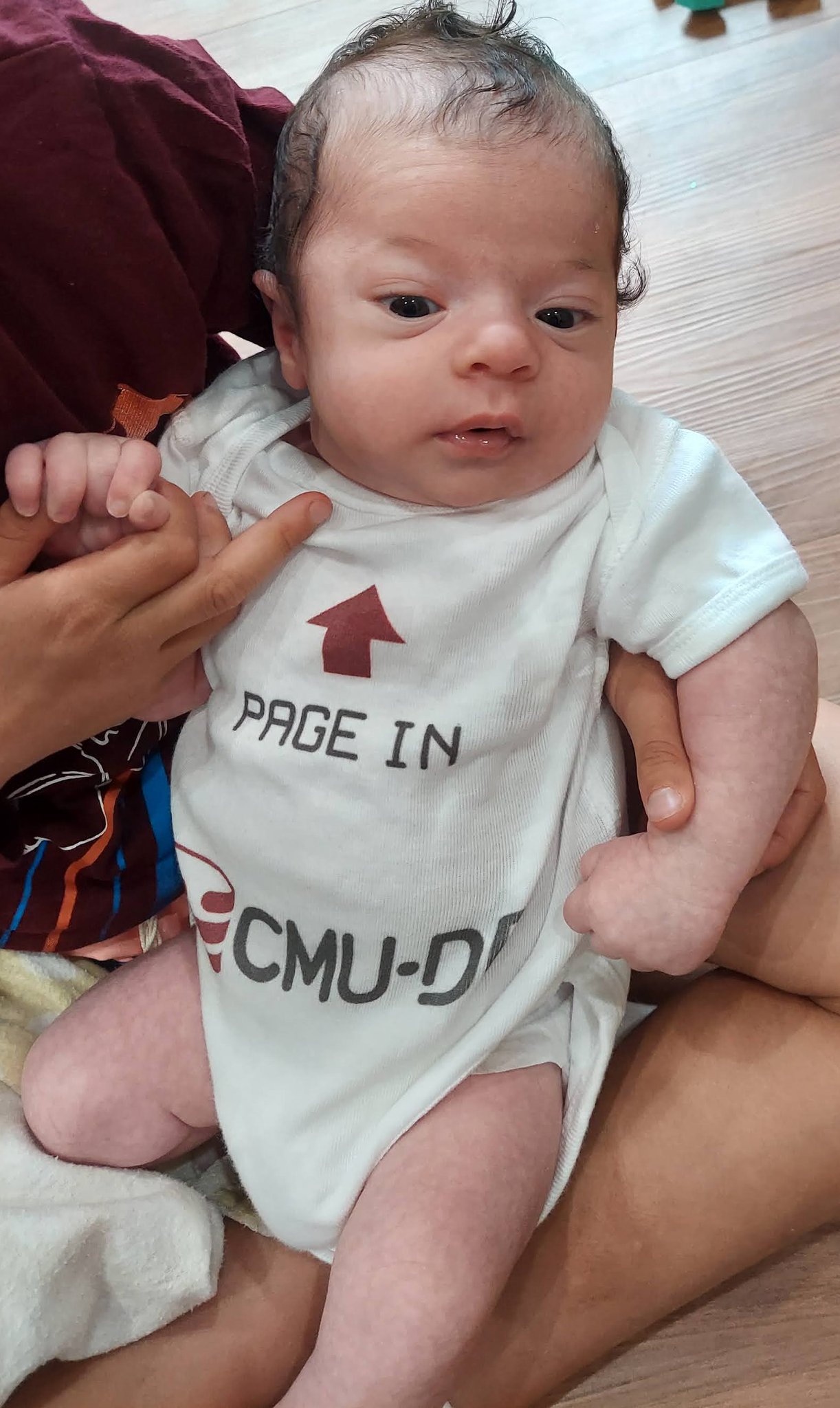 Daniel Abadi on Twitter: "Thank you @andy_pavlo for the database-themed newborn clothing for our ...
