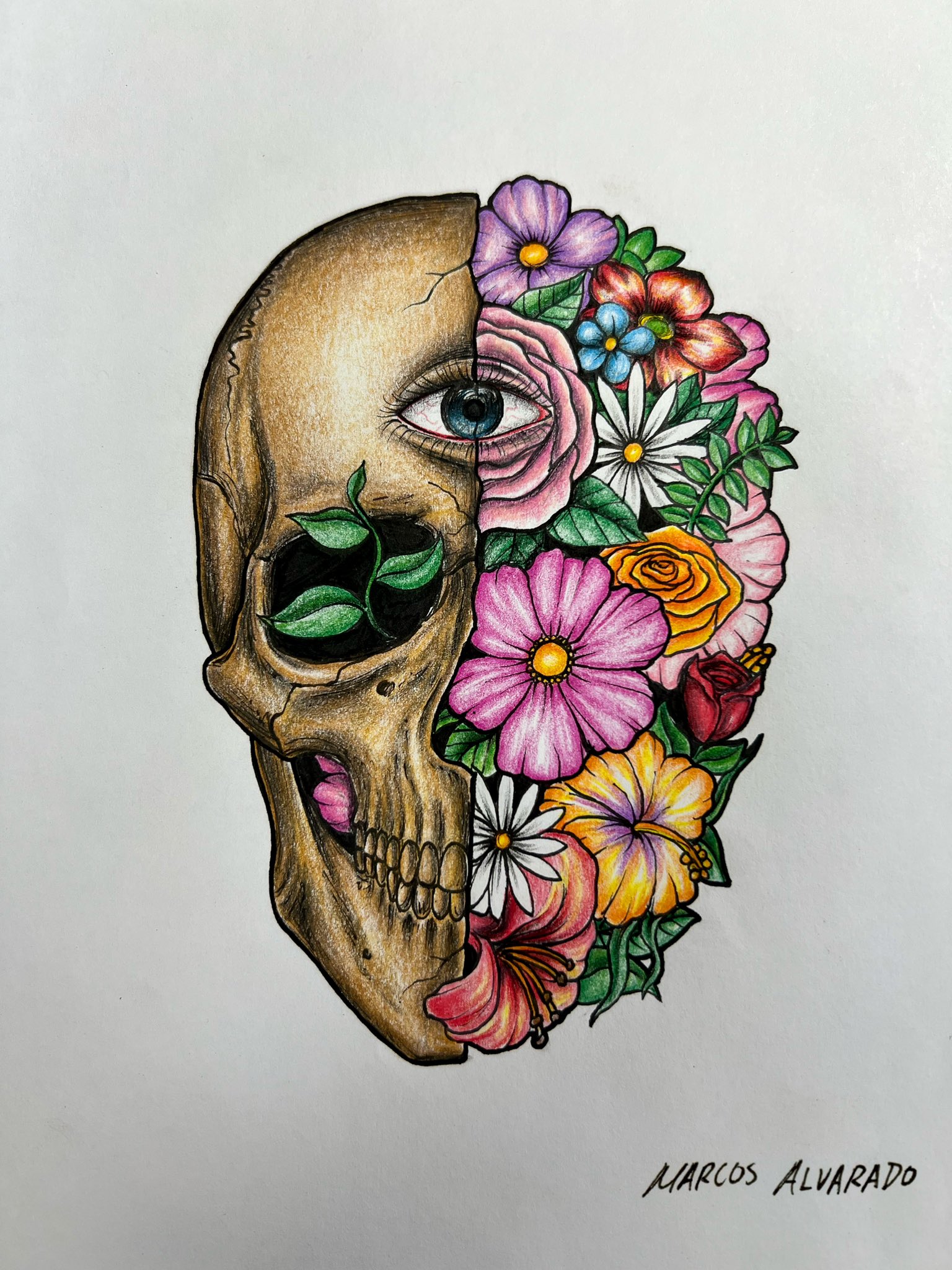 Dead Or Alive Drawings