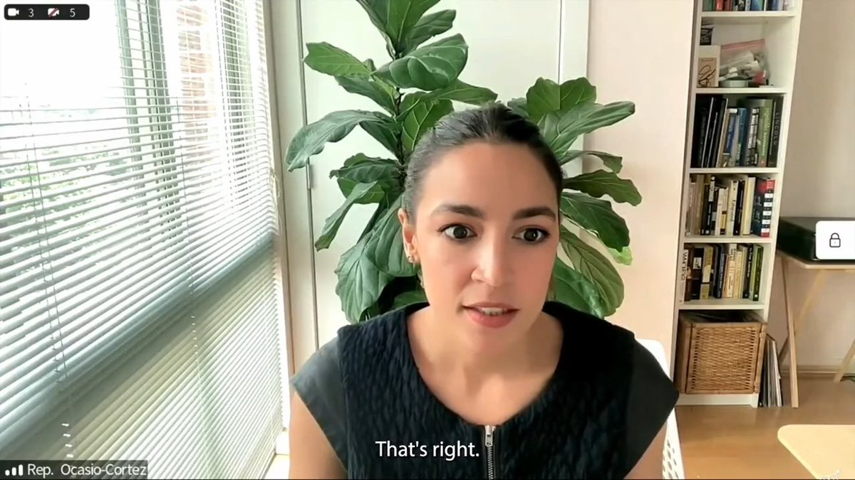 Alexandria Ocasio-Cortez's Husband | Who Is Riley Roberts