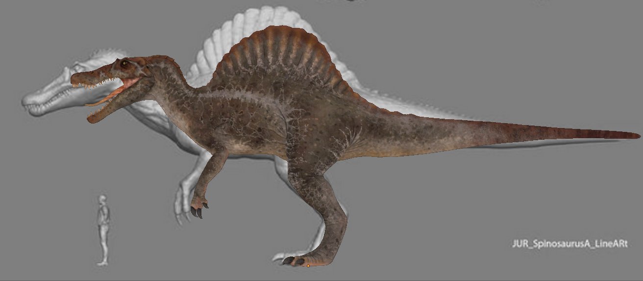 Spinosaurus Size Chart