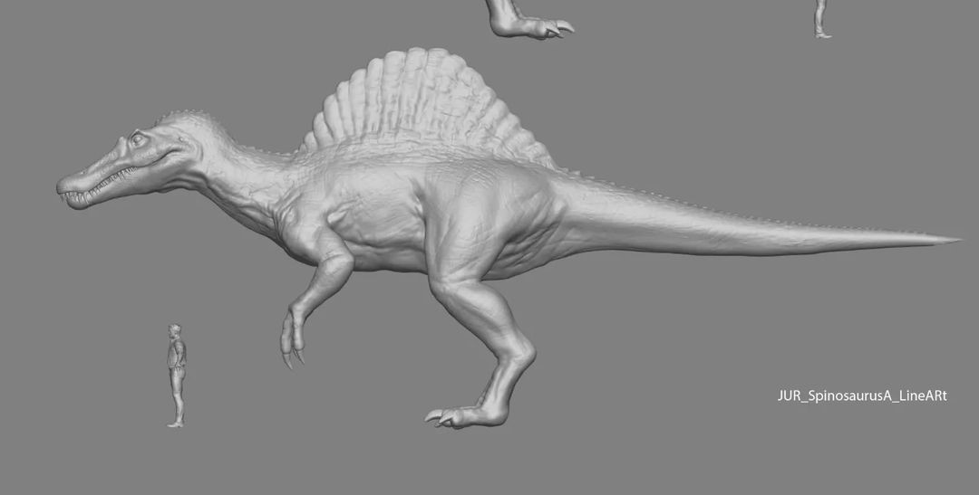 Spinosaurus Size Chart