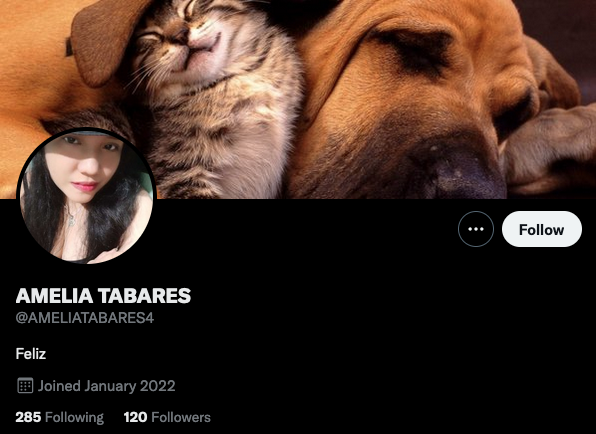 AnimalesCDMX on Twitter: AnimalesCDMX on Twitter: