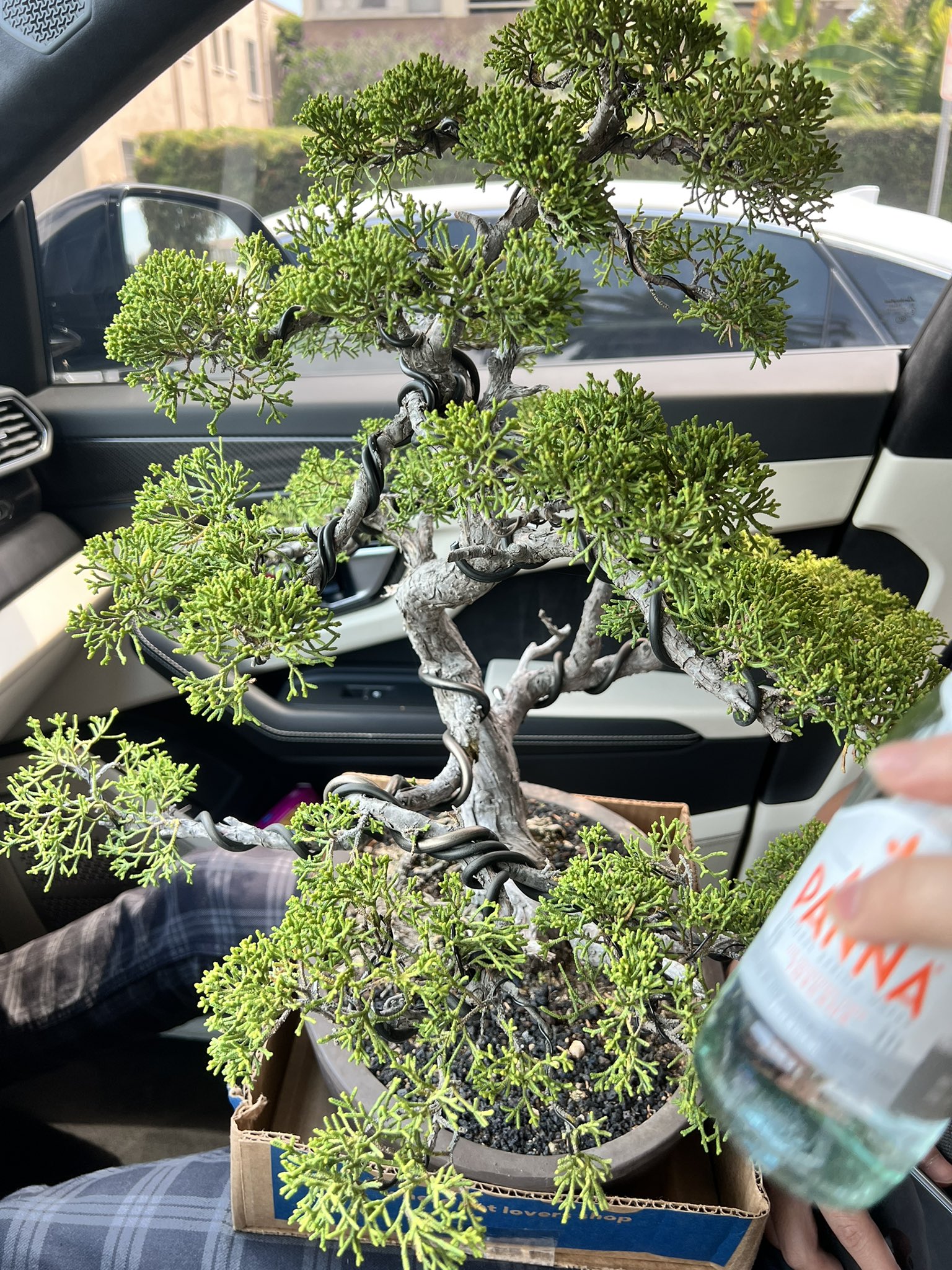 TW Pornstars - Heaux Cosmetics CEO Countess Lydia Dupra. Twitter. New ...