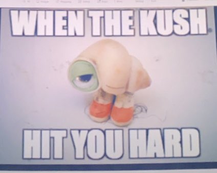 Marcel The Shell Meme