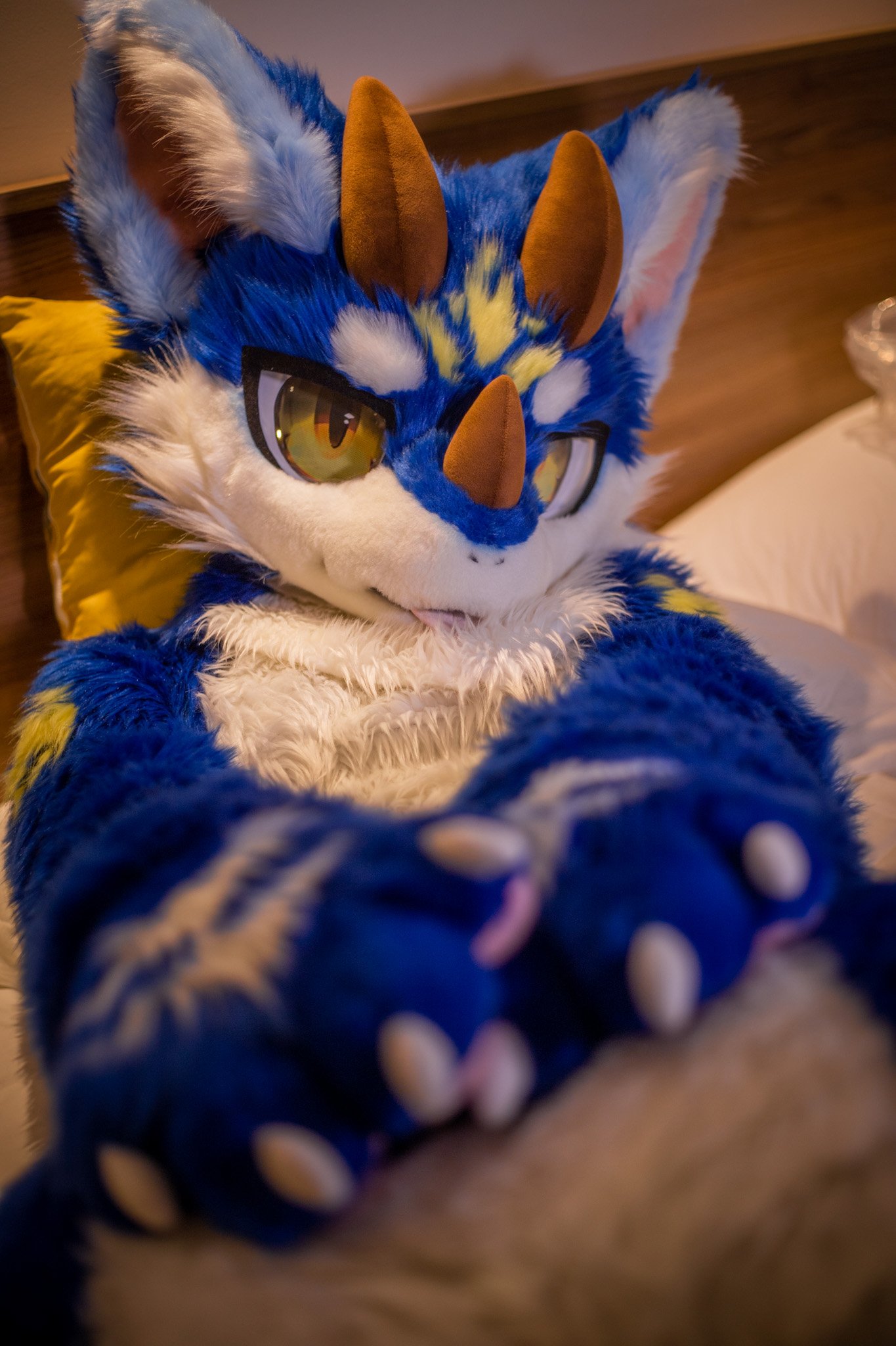 V 0 1 D on Twitter: "RT @chan06008381: #FursuitFriday 这里不可以哦 https://t ...