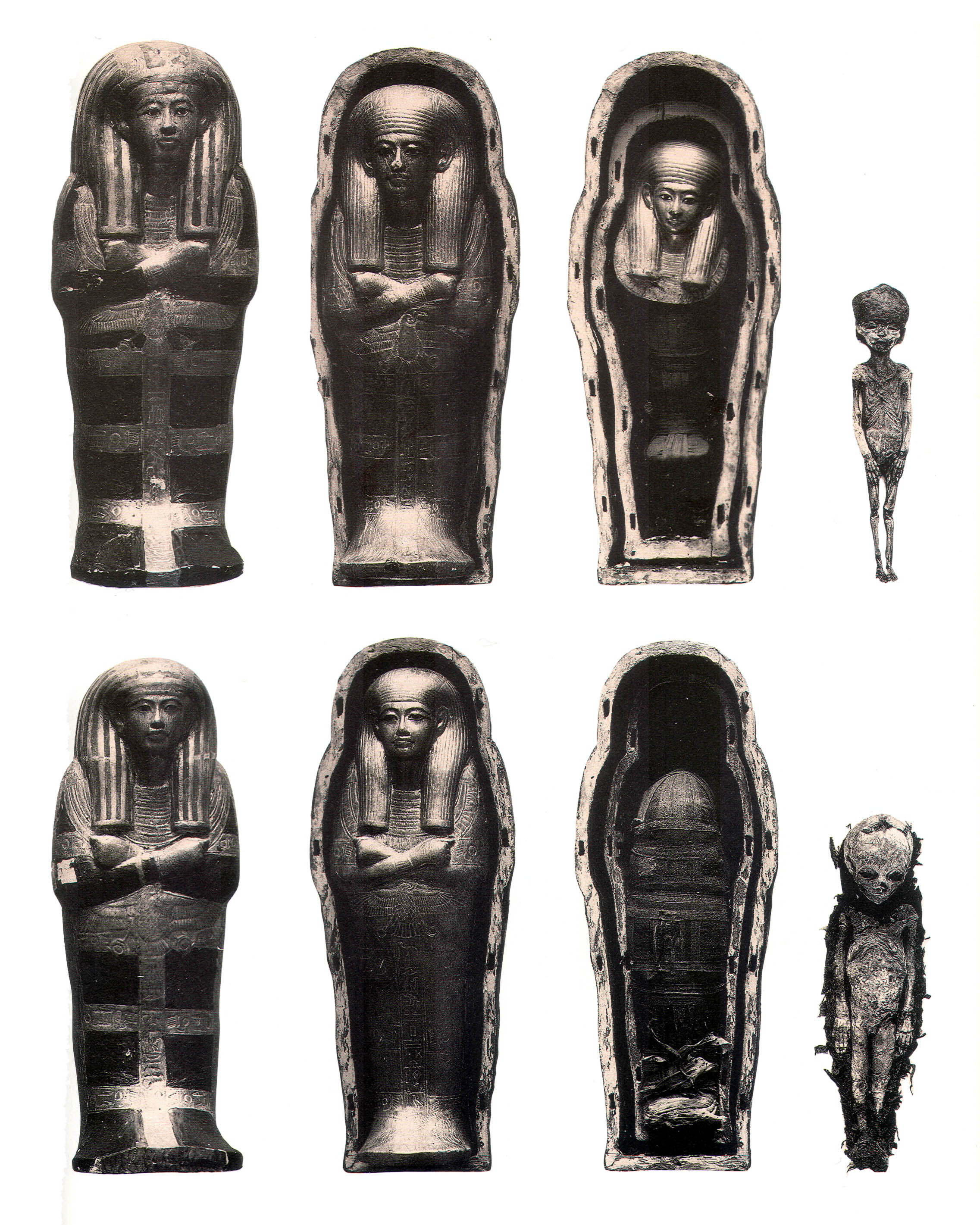 Dr. Peter J Brand on Twitter: "1/ T-85 of my Tutankhamun 100 day countdown: Today family ...